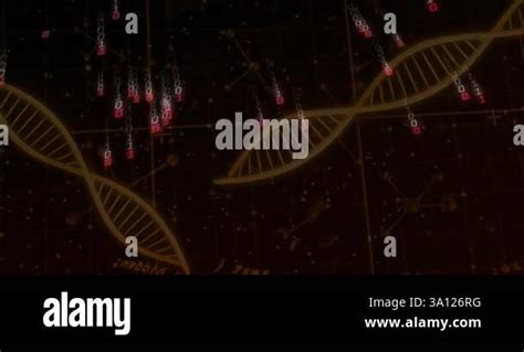 Dna Strand And Binary Coding In Animation For Scientific Data
