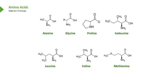 Amino Acids Dr Kevin Ahern Part 1 Amino