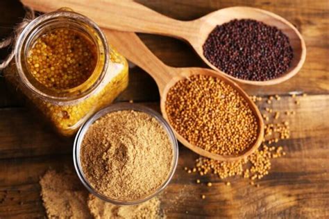 Homemade Mustard Plaster For Chest Congestion Relief — Homesteading