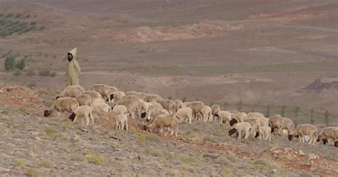 Artemisianet Isli E Tislit Lac Disli E Lac De Tislit