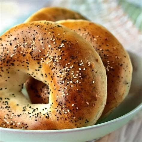 Are Panera Bagels Vegan Discover The Truth Here