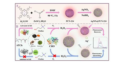 Ultrasensitive Fluorescence Platform Based On Agnps In Situ Incorporated Zr Mofs For The