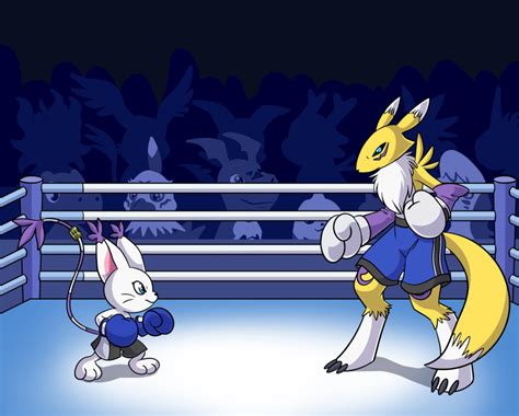Digital Boxing Match Digimon Know Your Meme