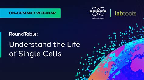 Roundtable Understand The Life Of Single Cells Bruker Cellular Analysis