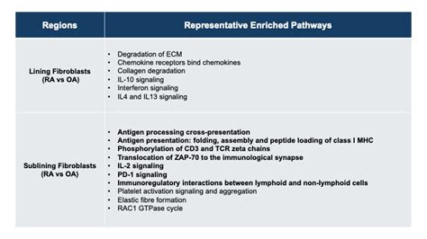 Spatial Transcriptomics In Rheumatoid Arthritis Ra Synovium Reveals