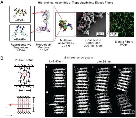 Figure 1 From Recent Advances In 3d Printing With Protein Based Inks Semantic Scholar