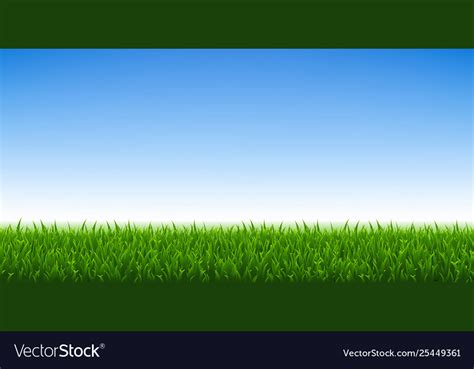 Green Grass Blue Sky Vertical