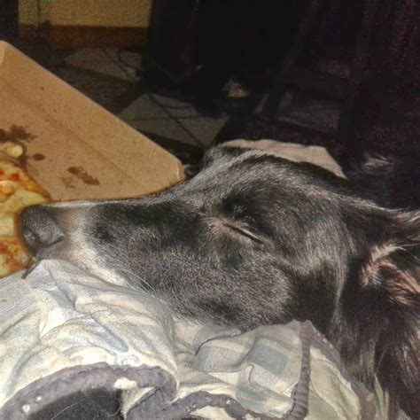 Cynty Bonilla Youtube