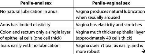 Dierences Between Penile Anal And Penile Vaginal Sex Download