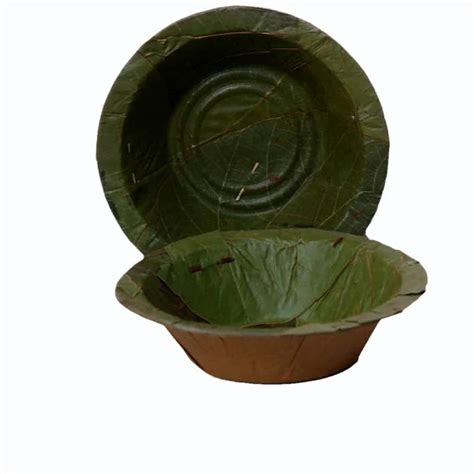 Sal Leaf Dona Cup Capacity