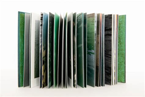 Blog — Claire Dibble