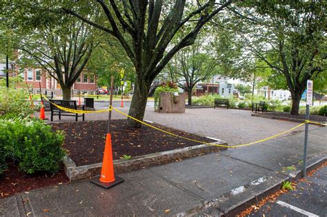 Very Territorial Aggressive Wasps And Hornets Take Over Ashland