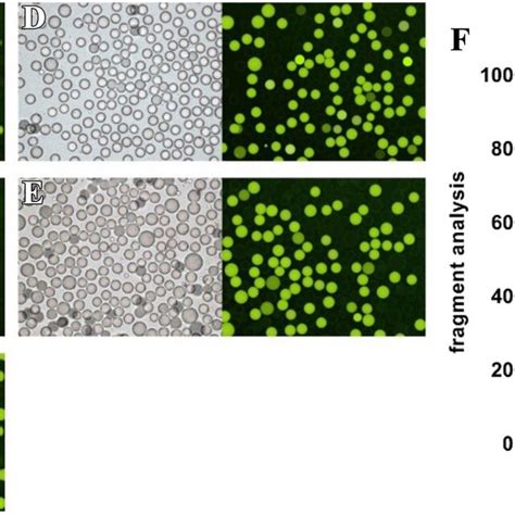 Flt3 Itd Positive Droplets By Ddpcr In Patients A Patient 2 B Patient