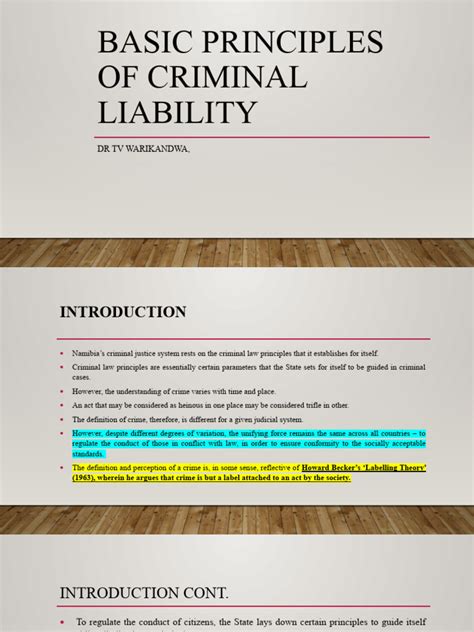 Namibias Criminal Liability Principles Pdf Insanity Defense