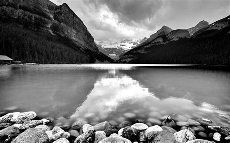 List 104 Pictures Fondos De Pantalla Negro Y Blanco Completed