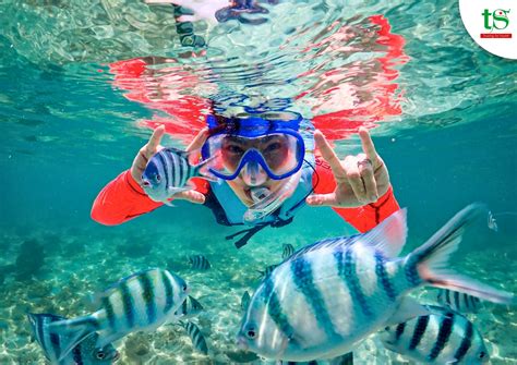 Review Chi Tiết Tour Đi Cano Lặn Biển Ngắm San Hô Tại Sơn Trà Đà Nẵng