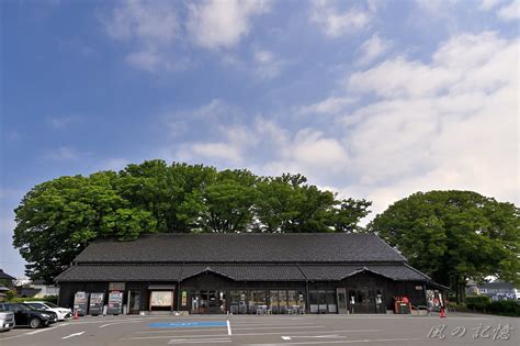 Dsc 1318 Toru Ito Flickr