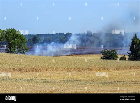 Field Fire Flames And Smoke On Burning Agricultural Wheat Field After