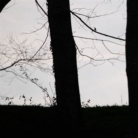 Jarrad Wright Has Posted A New Track On Soundcloud Folks Rthebiglezshow