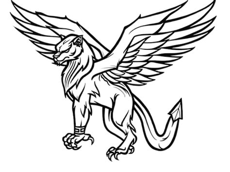 Griffin Drawing Art Drawing Skill