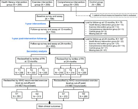 Flow Diagram Of The Study Pa Physical Activity T1 T3 Group 1 3 By