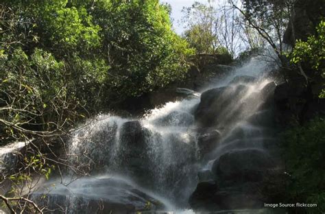 5 Best Places To Visit In Yercaud A Hidden Gem In South India Treebo Blog