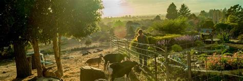 Live And Learn On Organic Farms Wwoof Usa