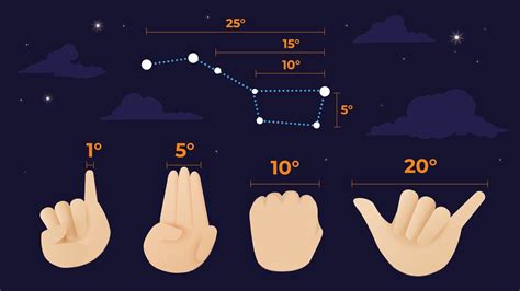 Diagrama Del Ciclo De Vida De Una Estrella Etapas De Una Estrella