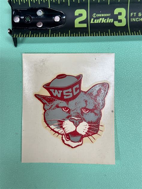 Blue Jays Patches Iron On Vintage 1950s Washington State Cougars