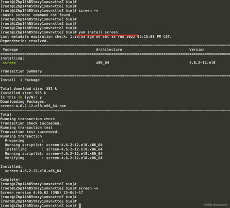 Screen 挂起一个会话窗口 运行jar包 效果同 Nohup Screen启动jar Csdn博客
