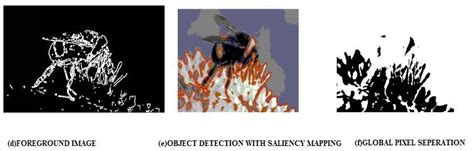 1 a to f segmentation using saliency mapping download