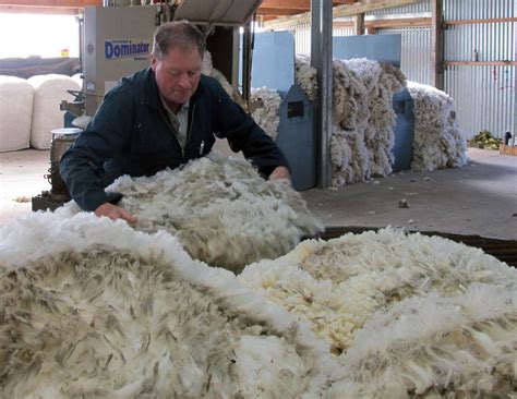 Health And Safety Wool Classers Association