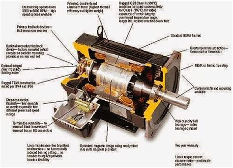 Servo Motor EEE COMMUNITY