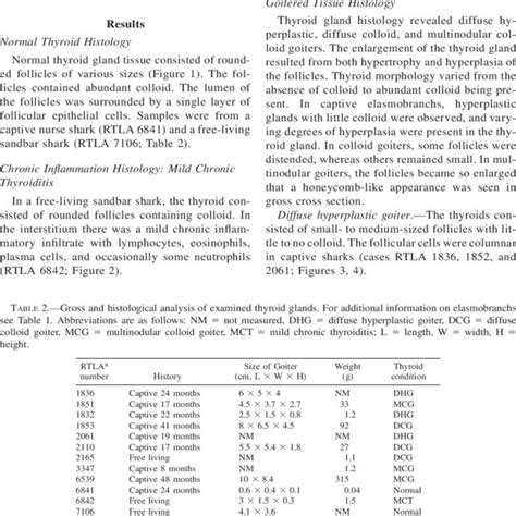 Multinodular Colloid Goiter Gross Cross Section Of A Captive Brown Download Scientific Diagram