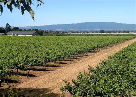 The 15 Best Things To Do In Gilroy 2026 Must See Attractions