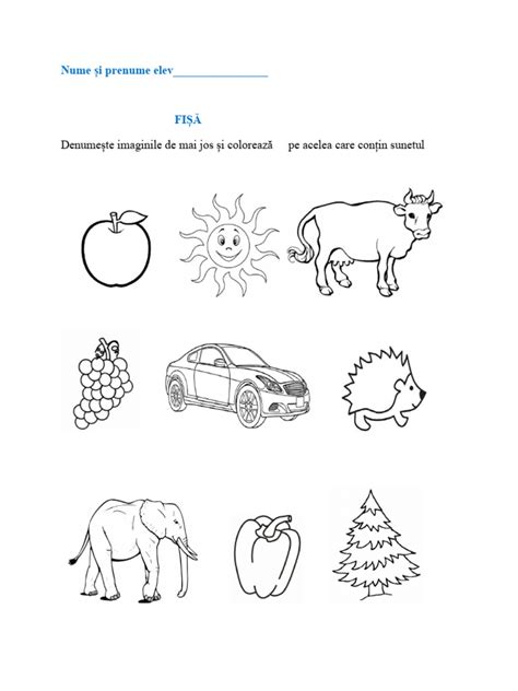 Fișe De Lucru Sunetul R Pdf