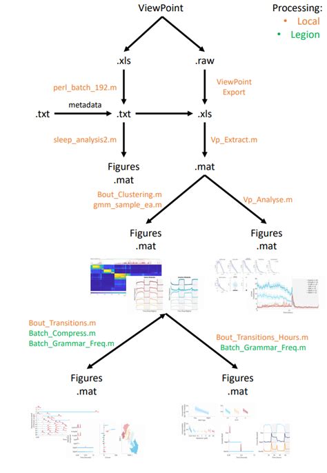 GitHub Ghoshm Structure Paper Code For The Paper Ghosh Rihel 2020 Hierarchical
