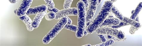 Pathogen Control Environmental Knowledge Base