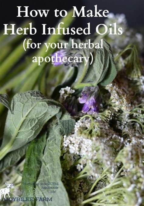 Knotgrass Herb Uses And Benefits Herbal Plants Herbal Medicine