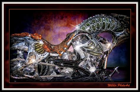 Elevation Of Clearwater Fl Usa Elevation Finder Topographic Map