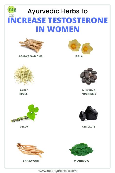 How To Treat Low Testosterone In Women Best Ayurvedic Ways