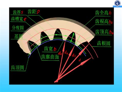 渐开线标准直齿圆柱齿轮word文档在线阅读与下载无忧文档