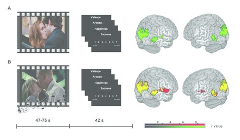 Experimental Design And Brain Activations Download Scientific Diagram