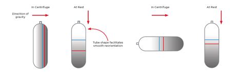 Rotors For Density Gradient Centrifugation