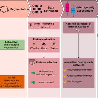 General View Of The Data Pipeline And The Analysis Process Download Scientific Diagram