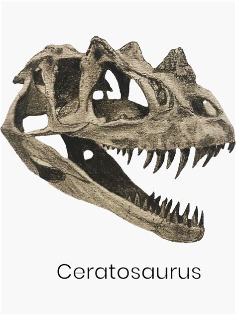 Ceratosaurus Skull Sticker For Sale By Sketchedlines Redbubble