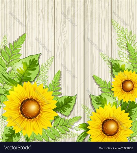 Green Leaves And Sunflowers Royalty Free Vector Image