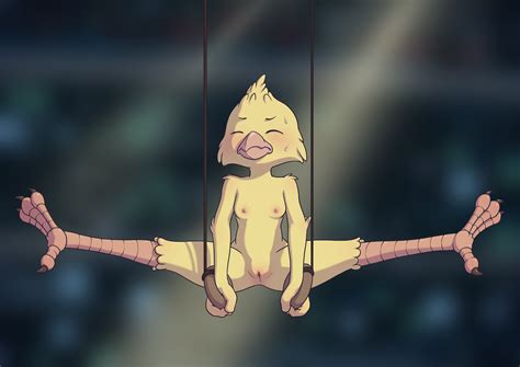 Rule 34 2024 Absurd Res Anthro Areola Avian Avian Feet Beak Biped