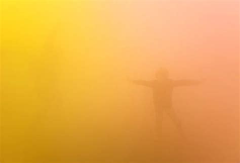 Ann Veronica Janssens Esther Schipper Exhibition Veronica Anne