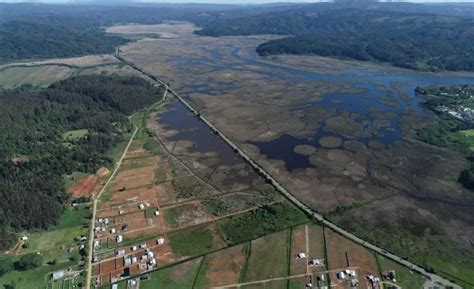 Humedales De Valdivia Clave En La Mitigación De Inundaciones Hoy Chile
